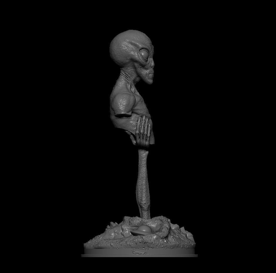 Grey Alien Bust 3D model for printing 3D model 3D printable | CGTrader