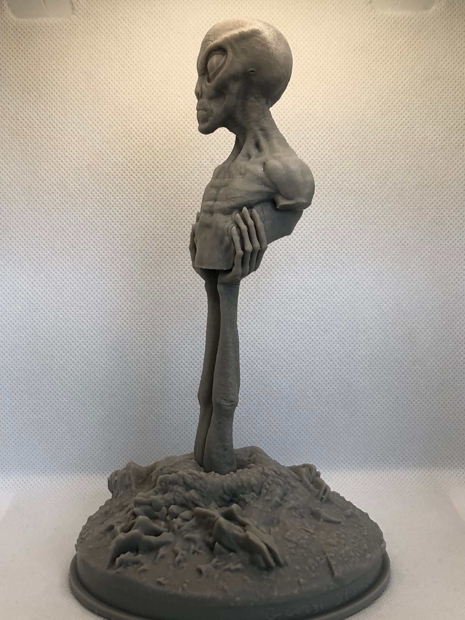 Grey Alien Bust 3D model for printing 3D model 3D printable | CGTrader