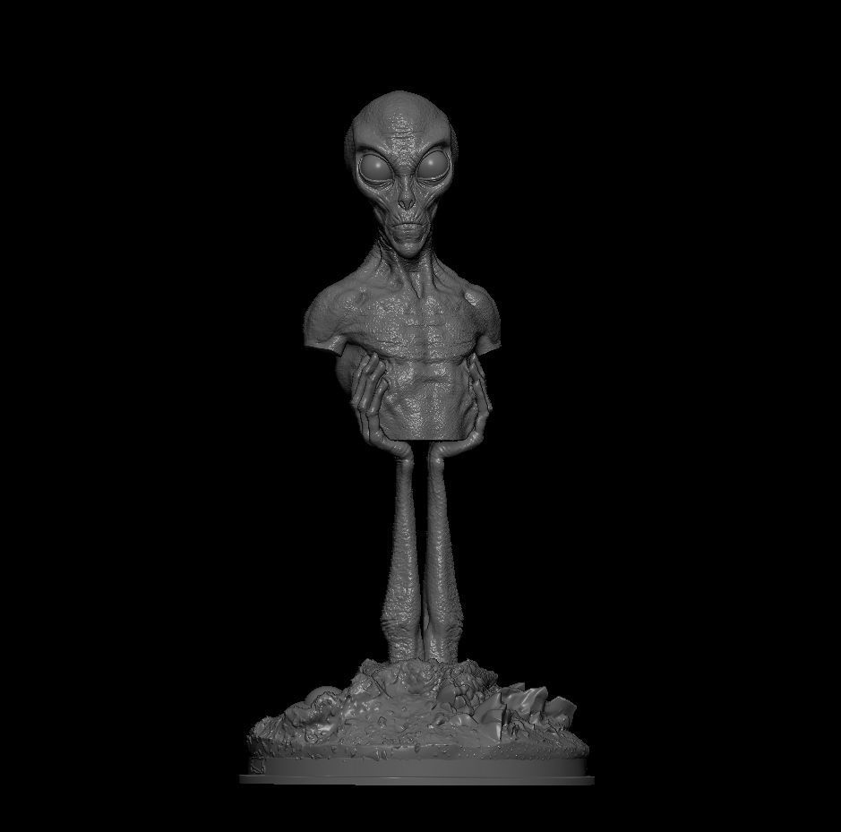 Grey Alien Bust 3D model for printing 3D model 3D printable | CGTrader