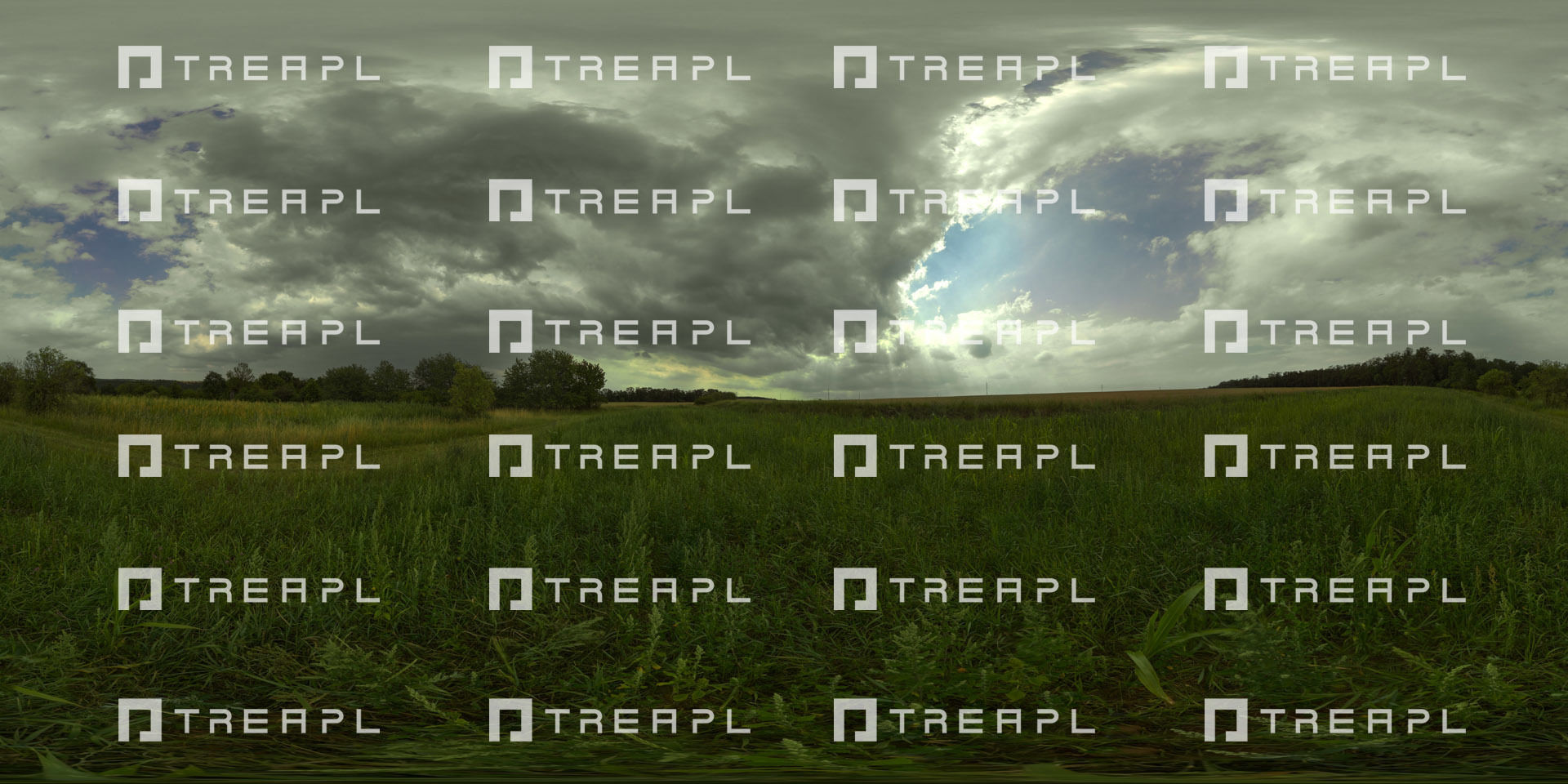 3D Model Collection 3D CROWDS ULTIMATE SPEED PEOPLE AND 20X HDRI SKY VR ...