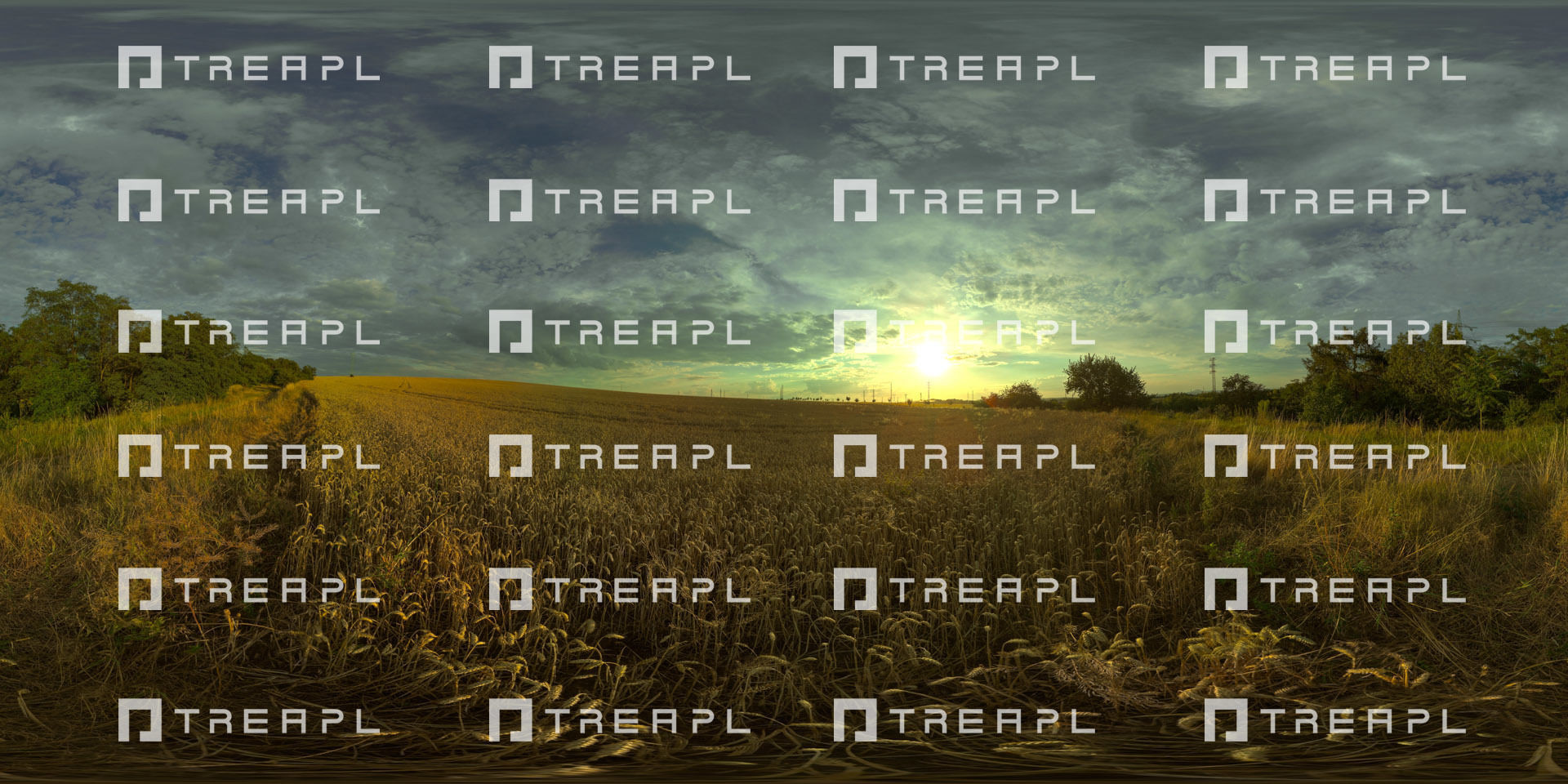 3D Model Collection 3D CROWDS ULTIMATE SPEED PEOPLE AND 20X HDRI SKY VR ...