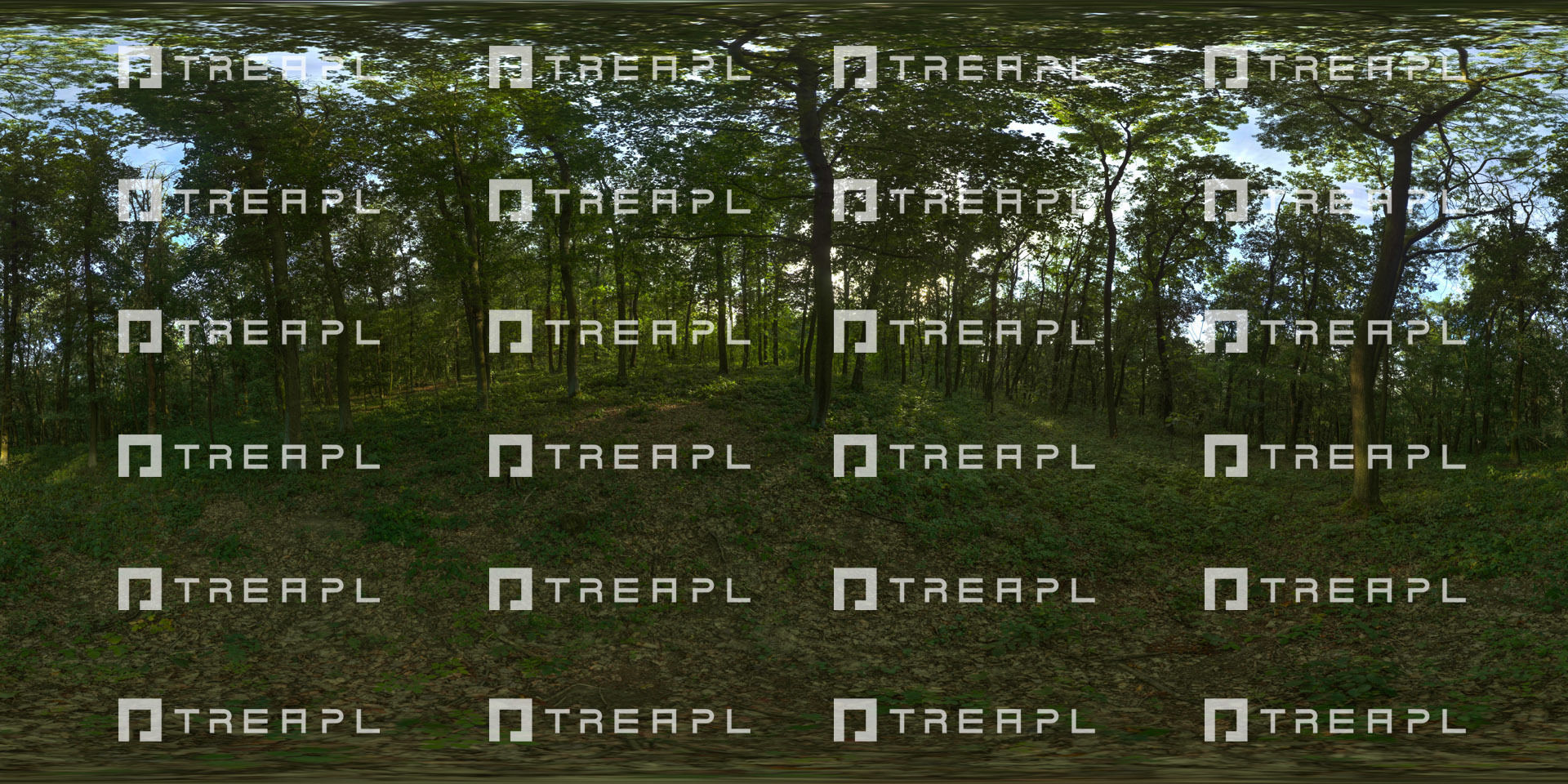 3D Model Collection 10X HDRI SKY VOL04 - ULTIMATE SPEED 3D CROWDS ...