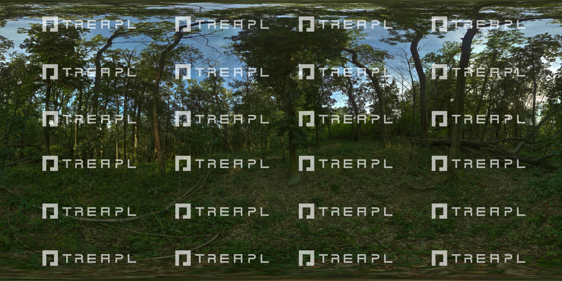 3D Model Collection 10X HDRI SKY VOL04 - ULTIMATE SPEED 3D CROWDS ...