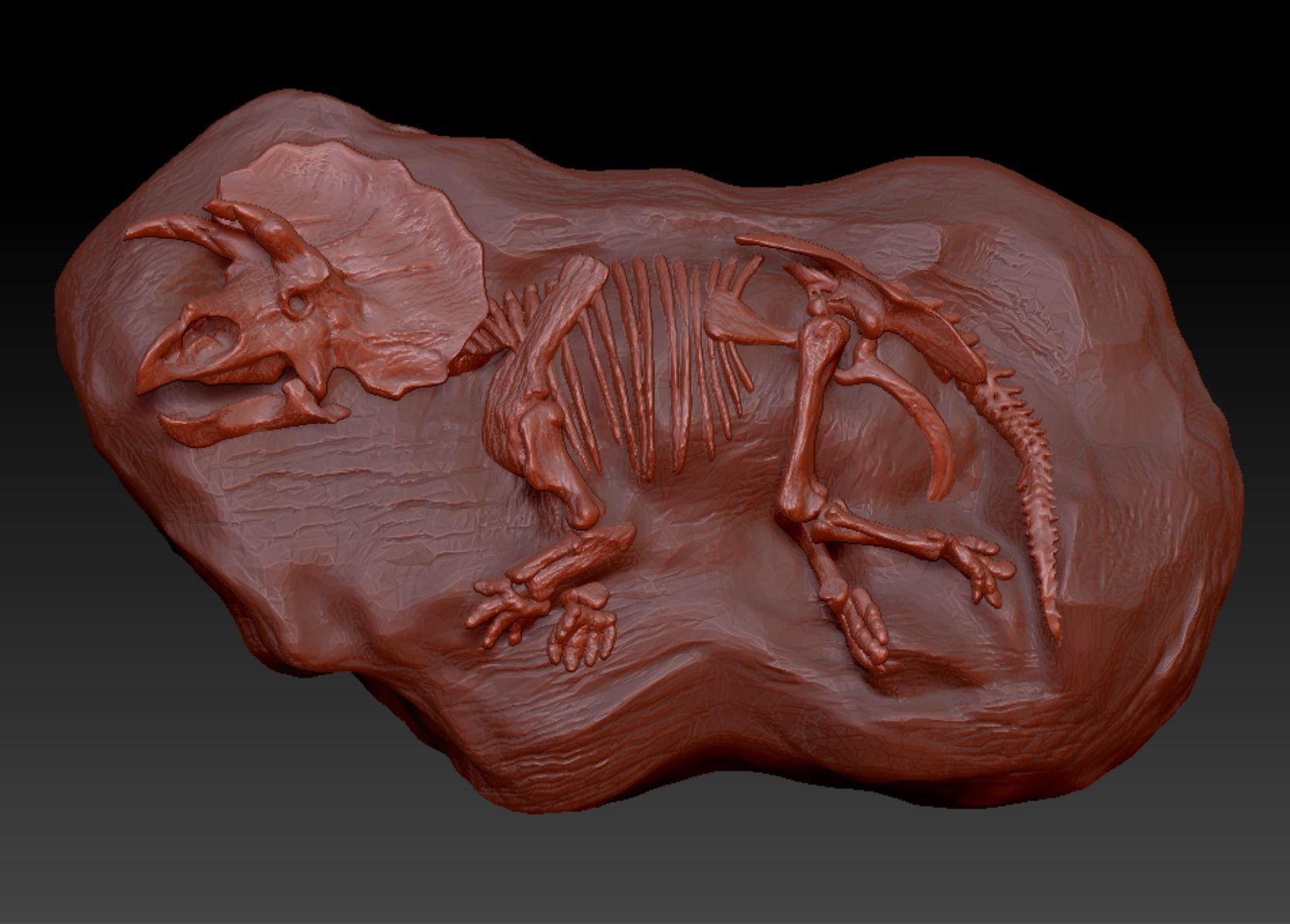 Triceratops Fossil Rock - 3D Skeleton of Triceratops Dinosaur 3D model ...
