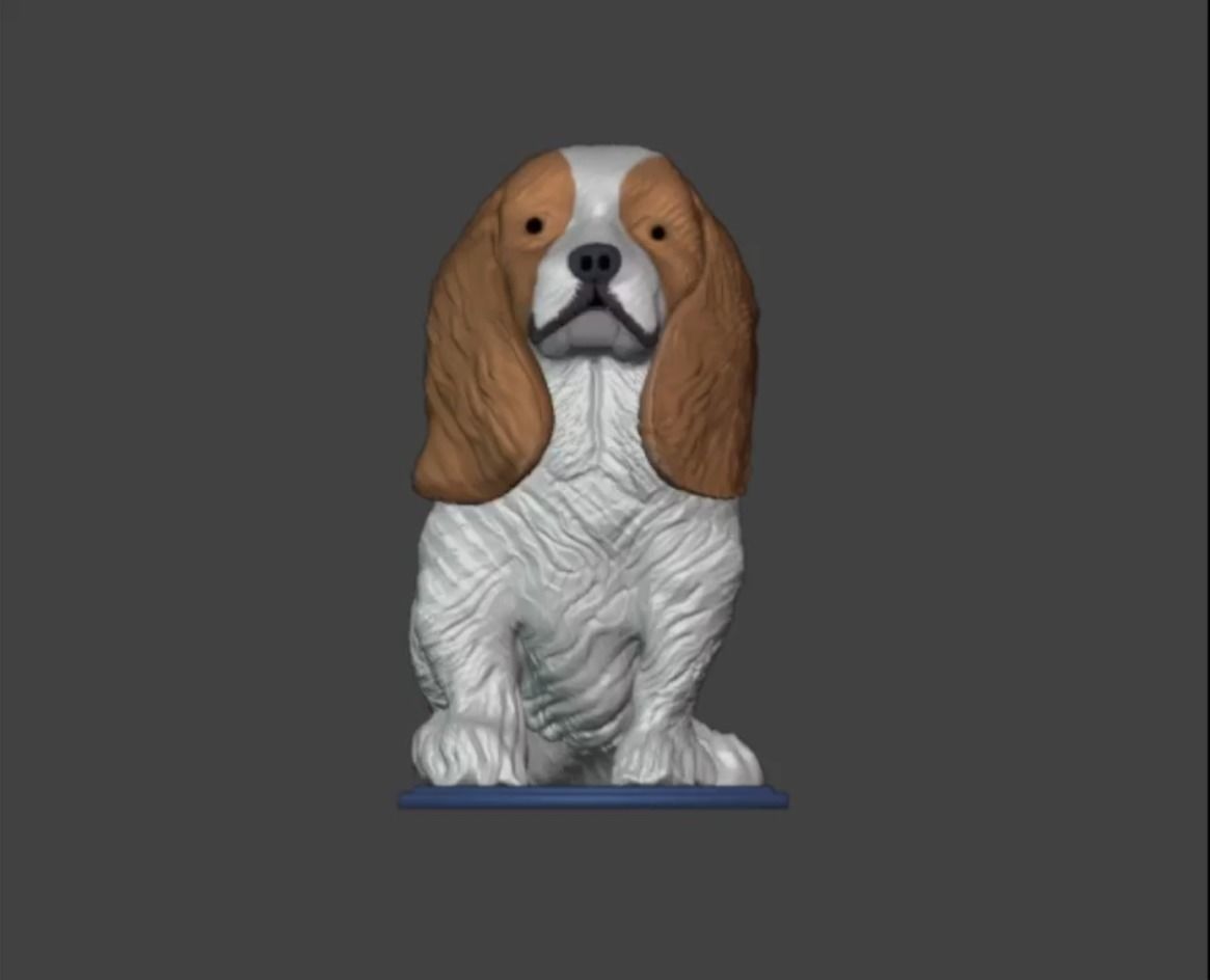 Bully Dog American puppy 3D model 3D printable | CGTrader