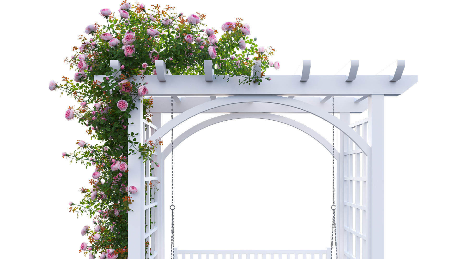 Climbing Rose - Rose Swing 3D model | CGTrader