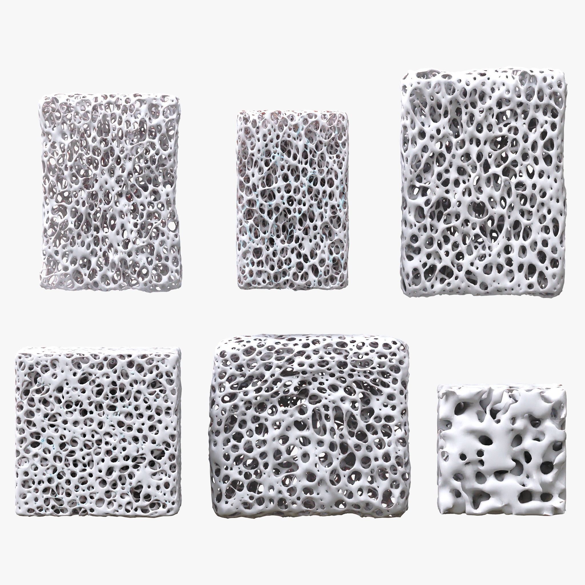 Bone Sponge Structure Bundle 3D model | CGTrader