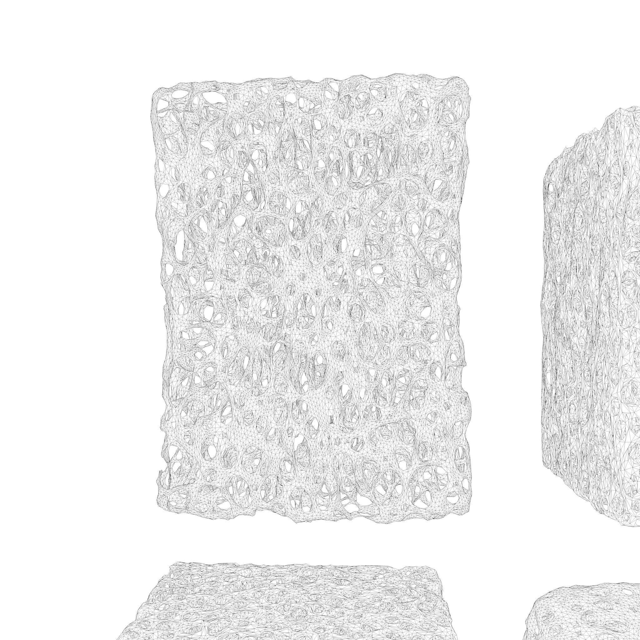 Bone Sponge Structure Bundle 3D model | CGTrader