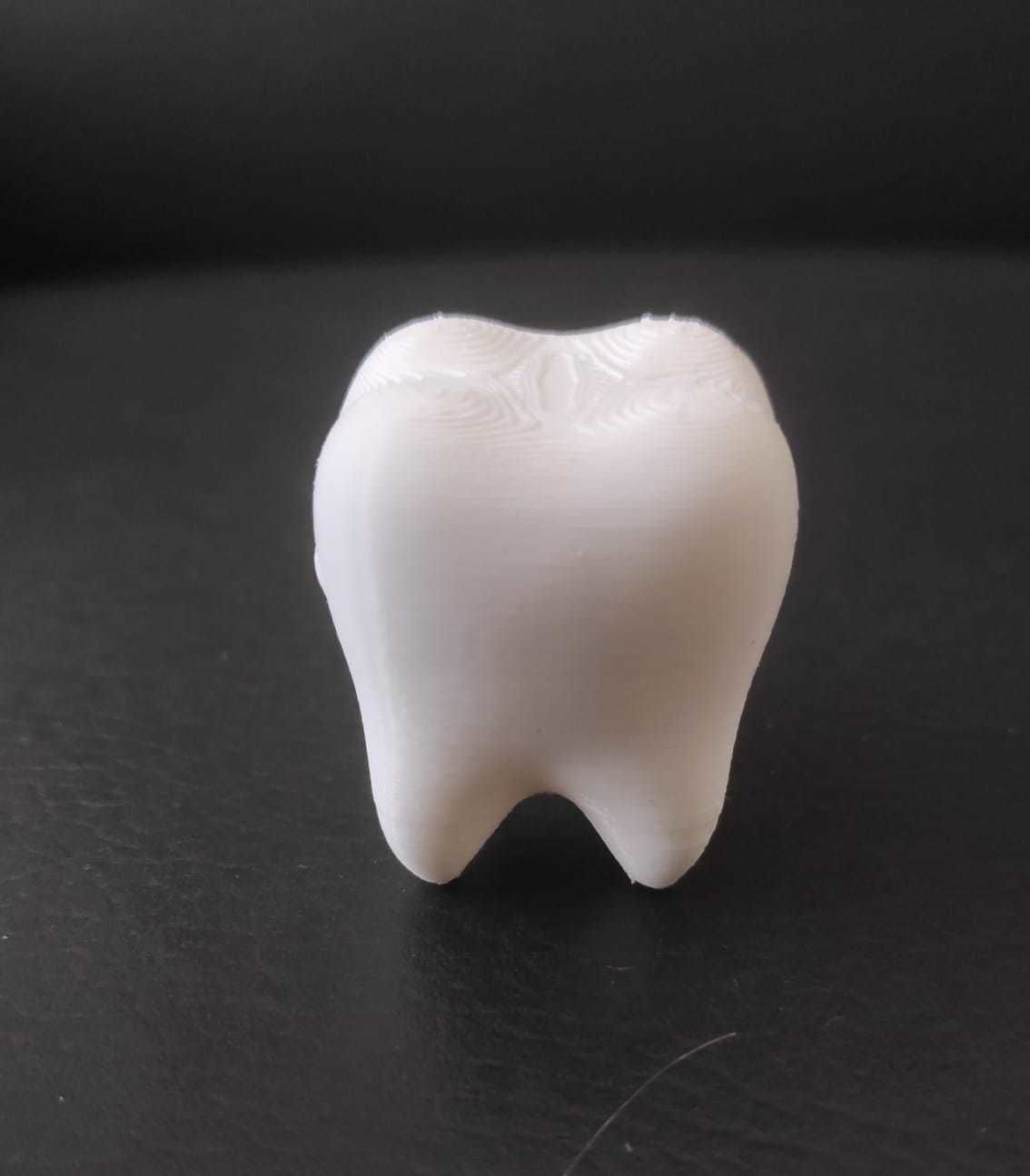 Tooth 3D model 3D printable | CGTrader