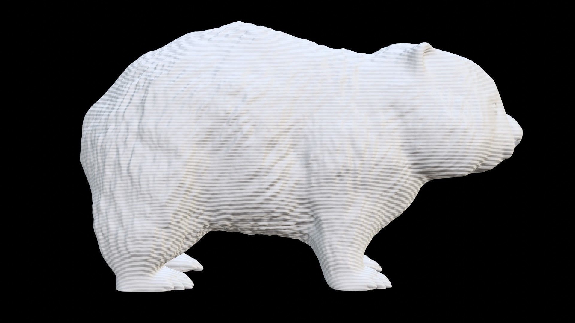 Australian Common Wombat 3D model 3D printable | CGTrader