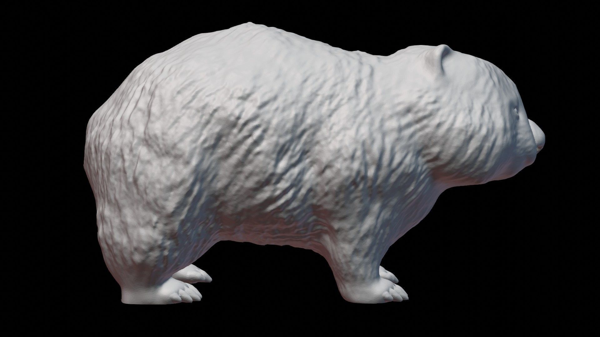 Australian Common Wombat 3D model 3D printable | CGTrader