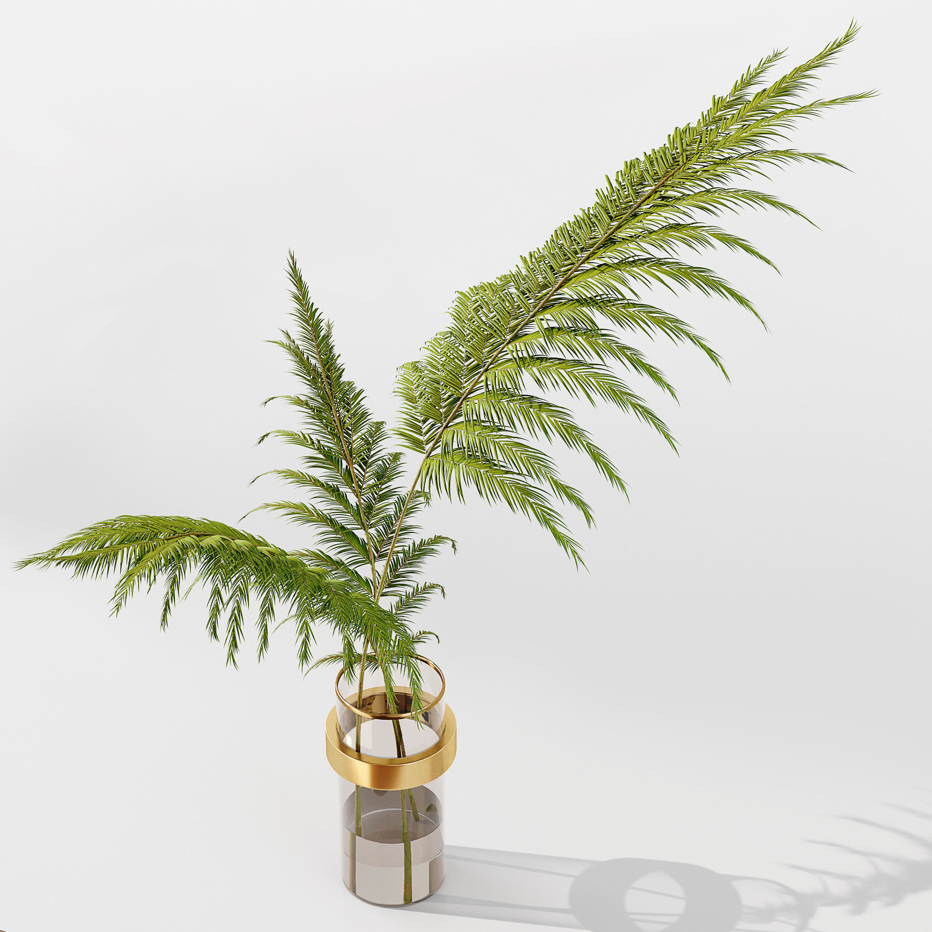 Collection Indoor Plants 039 3D model | CGTrader
