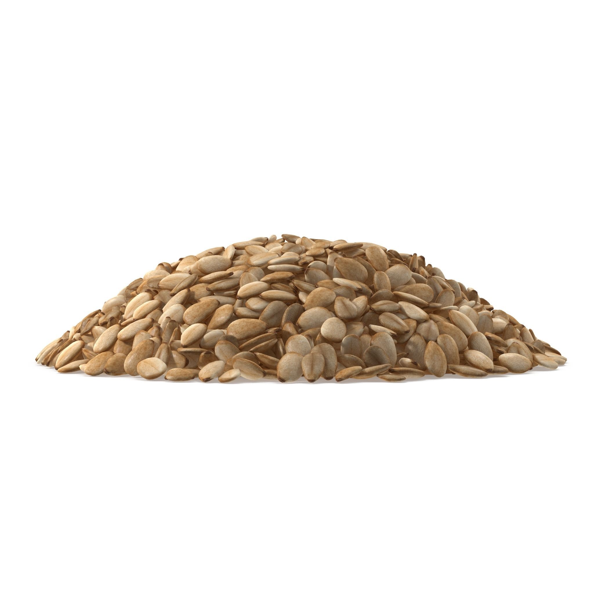 Sesame Seeds 3D model | CGTrader