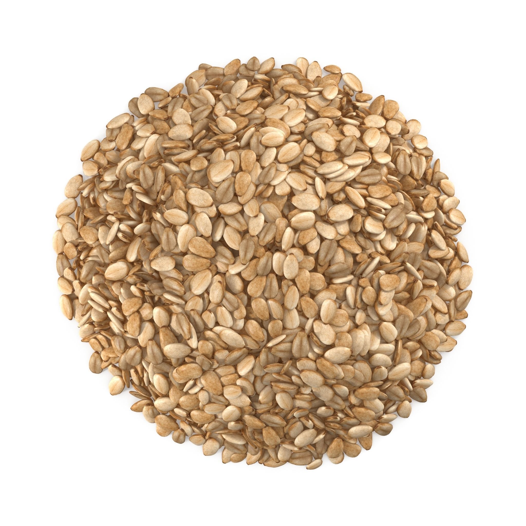 Sesame Seeds 3D model | CGTrader
