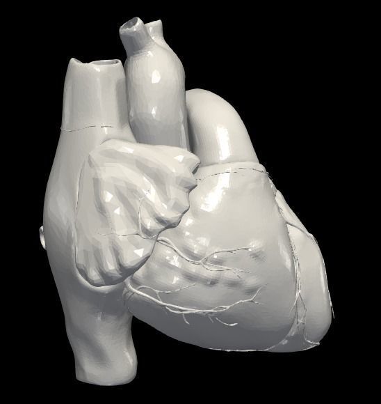 3d model of heart - apical 2 chamber plane 3D model 3D printable | CGTrader
