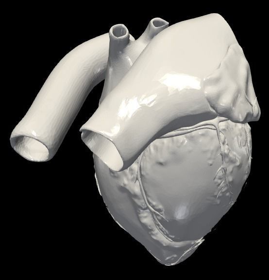 3d model of heart - apical 5 chamber plane 3D model | CGTrader