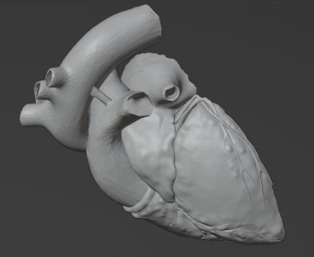 3d model of heart - apical 5 chamber plane 3D model | CGTrader
