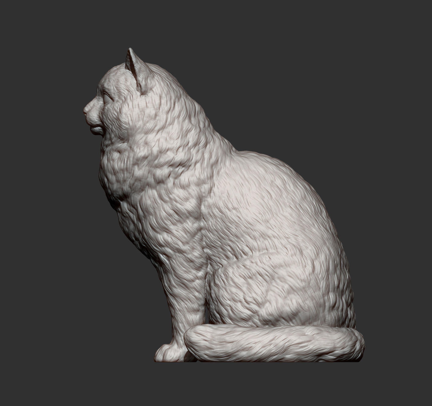 Ragdoll cat 3D model 3D printable | CGTrader