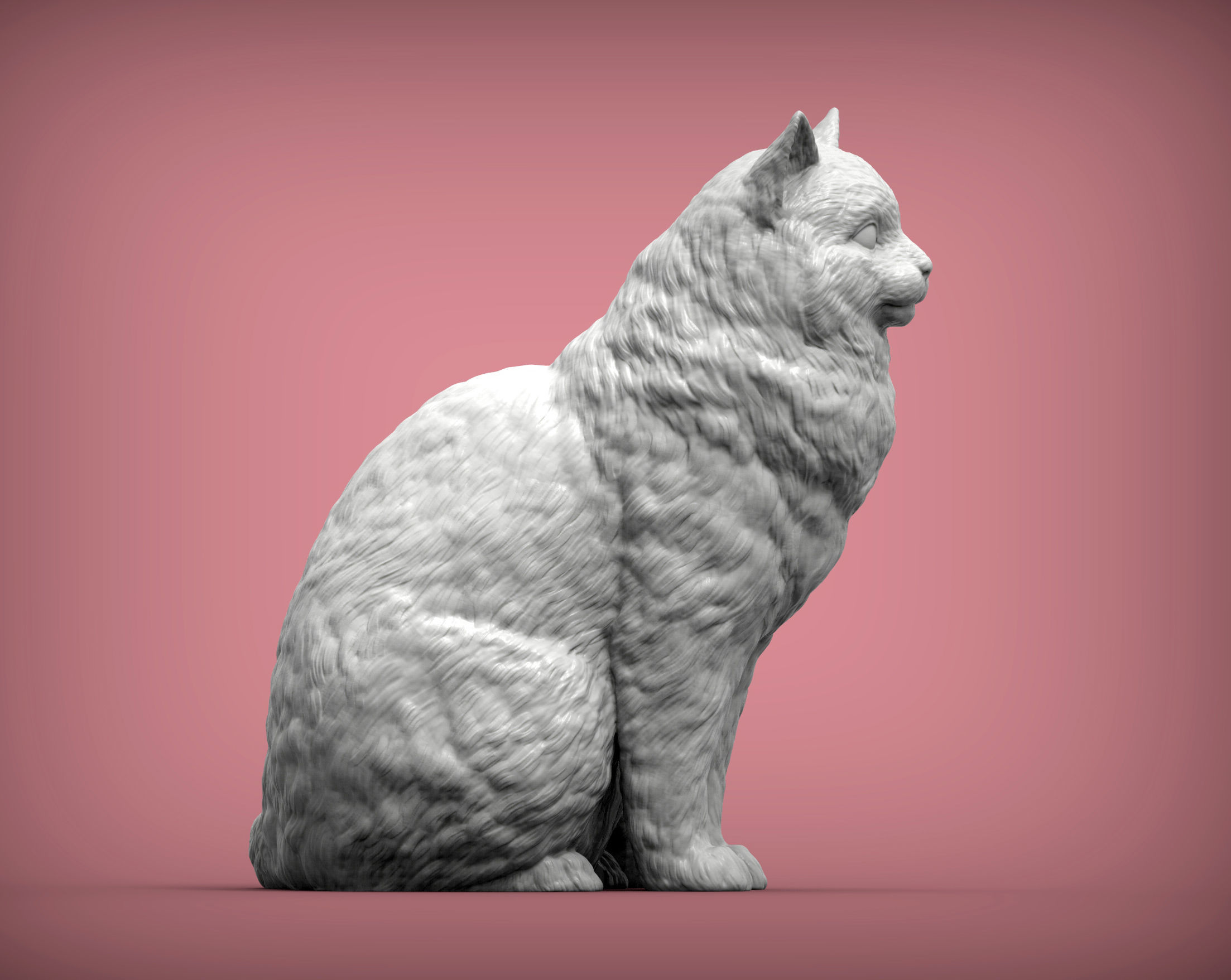 Ragdoll cat 3D model 3D printable | CGTrader