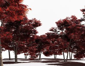 Animated Maple tree 3D Models | CGTrader