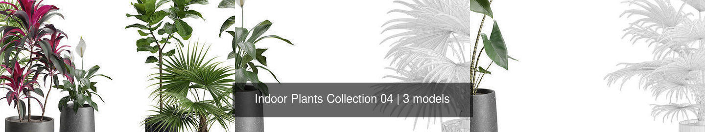 Indoor Plants Collection 04 | CGTrader
