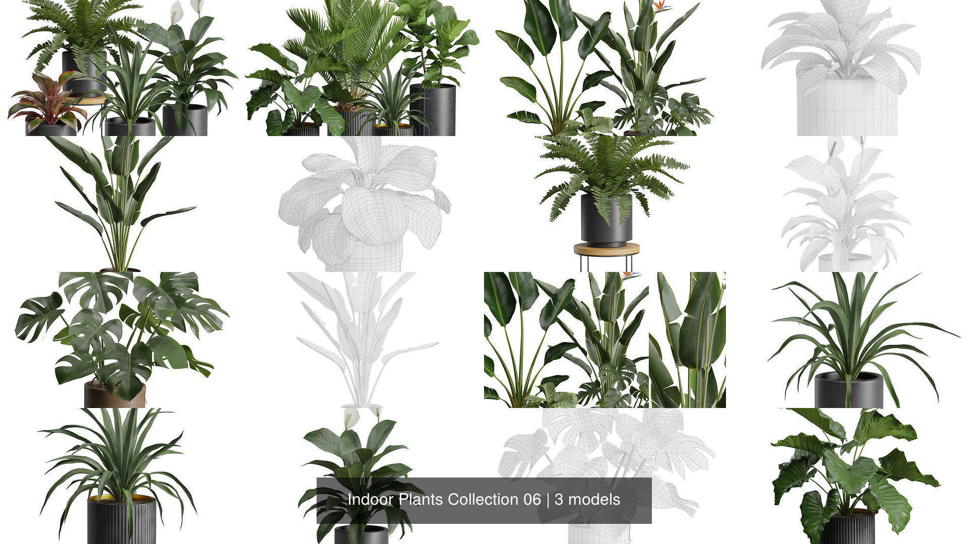 Indoor Plants Collection 06 | CGTrader
