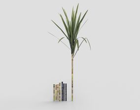 Sugarcane 3D Models | CGTrader