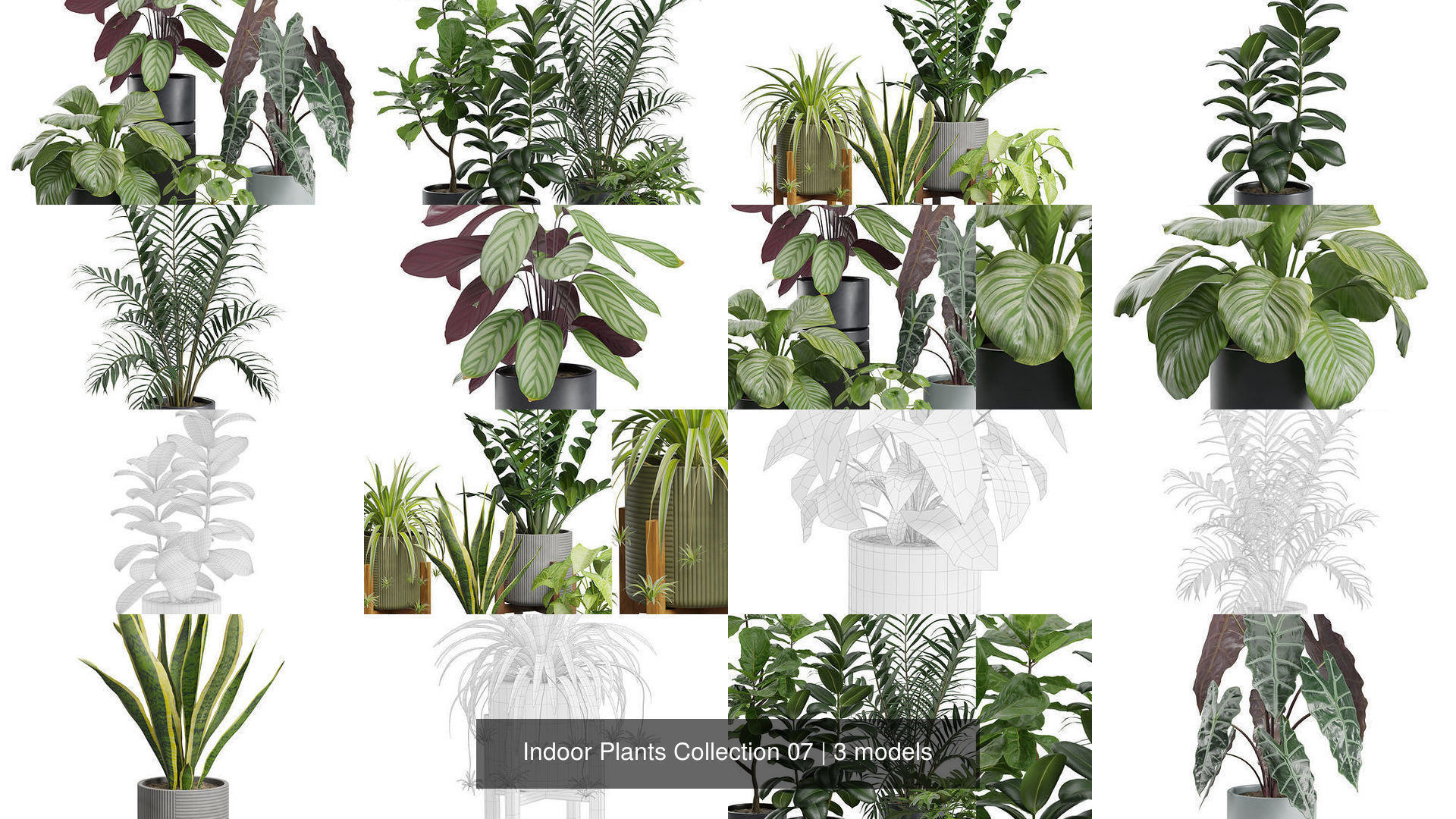 Indoor Plants Collection 07 | CGTrader