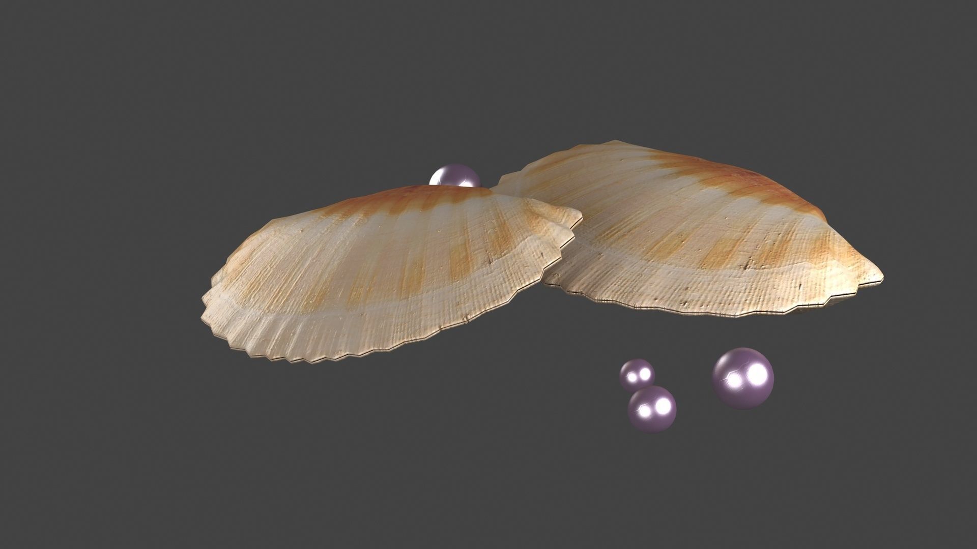 pearl in shell ocean oyster clamshell architecture sealife sea 3D model ...