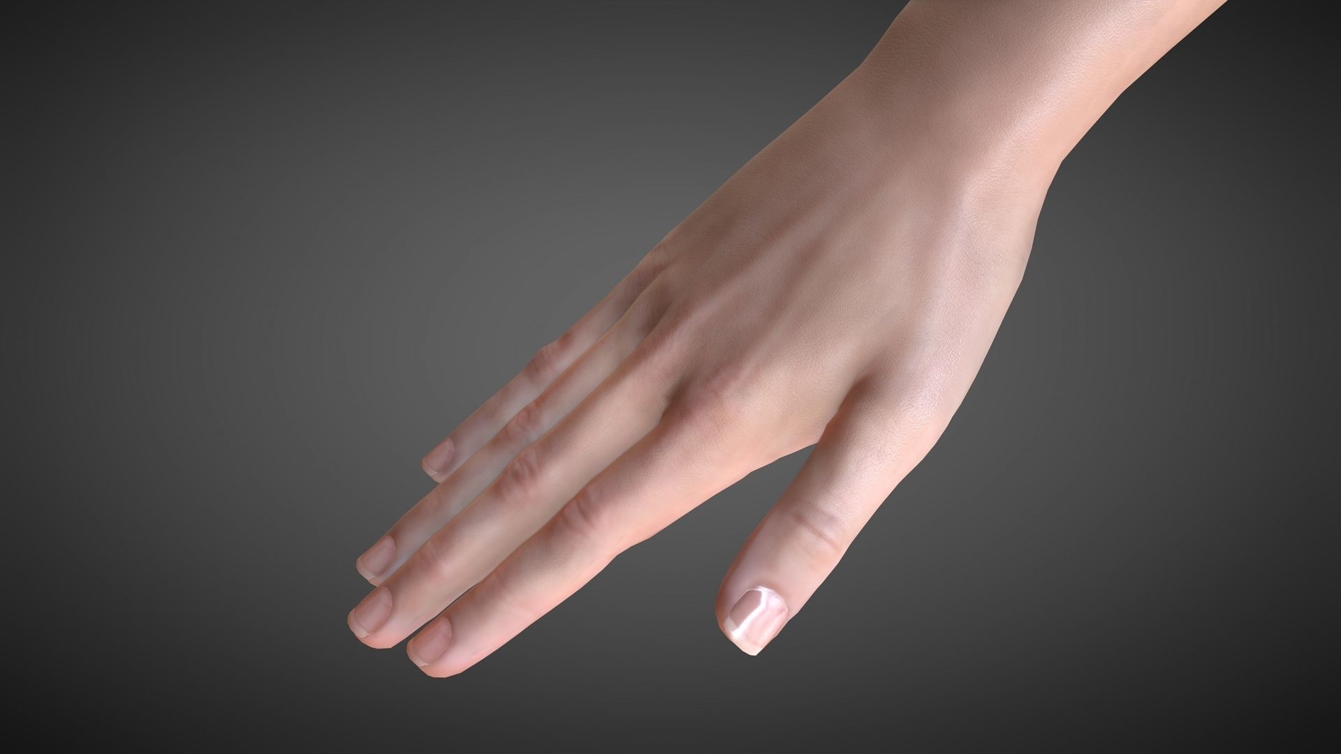 Female Hand Rigged for Cinema 4D 3D model rigged | CGTrader