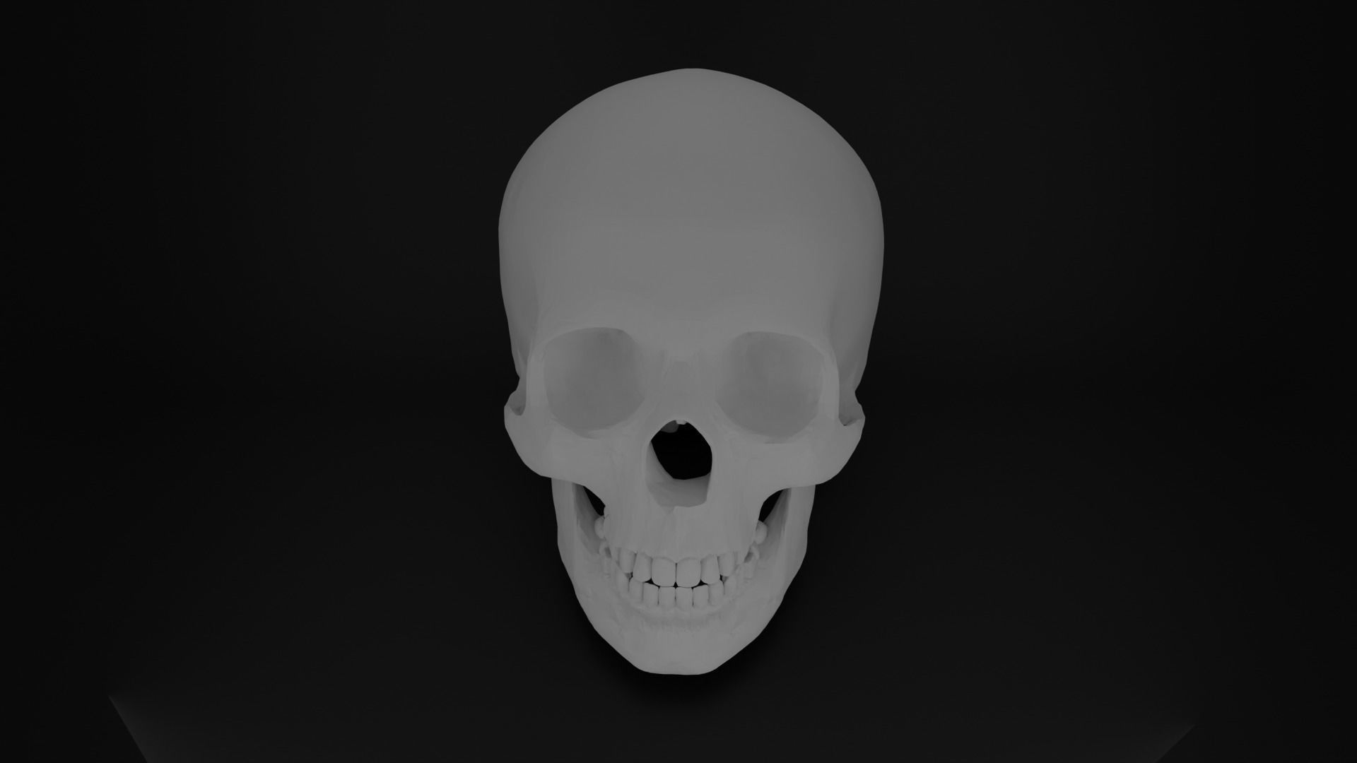 Scanned human skull 3D model 3D printable | CGTrader