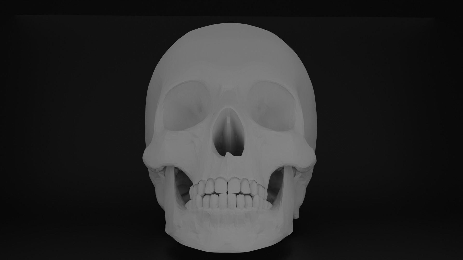 Scanned human skull 3D model 3D printable | CGTrader