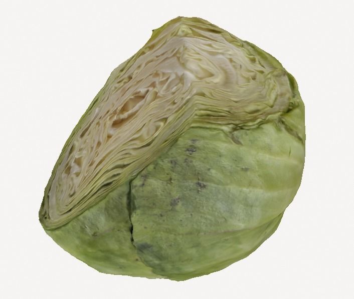 Cabbage 3d scan 3D model | CGTrader