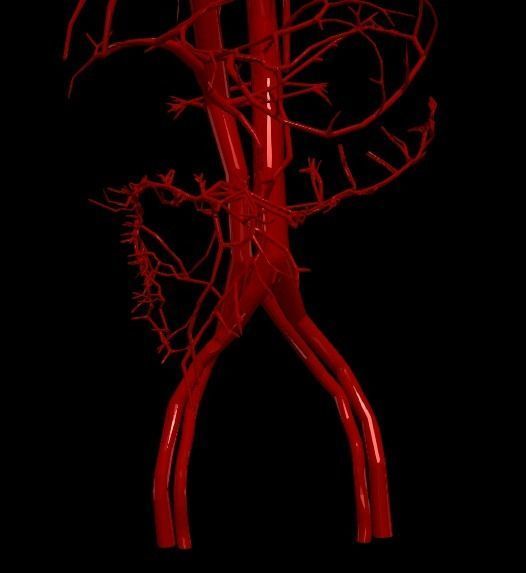 3d model of heart and cardiovascular system 3D model 3D printable ...
