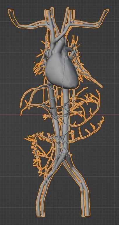 3d model of heart and cardiovascular system 3D model 3D printable ...