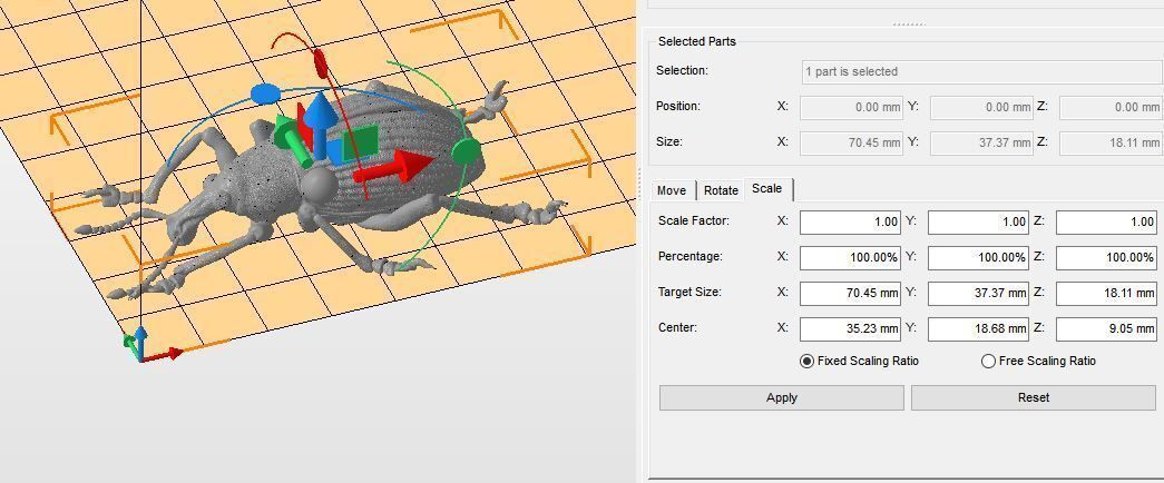 beetle weevil 3D model 3D printable | CGTrader