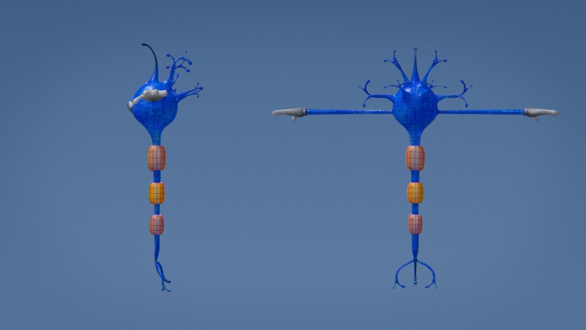 Neuron Cartoon Rig 3D model rigged | CGTrader