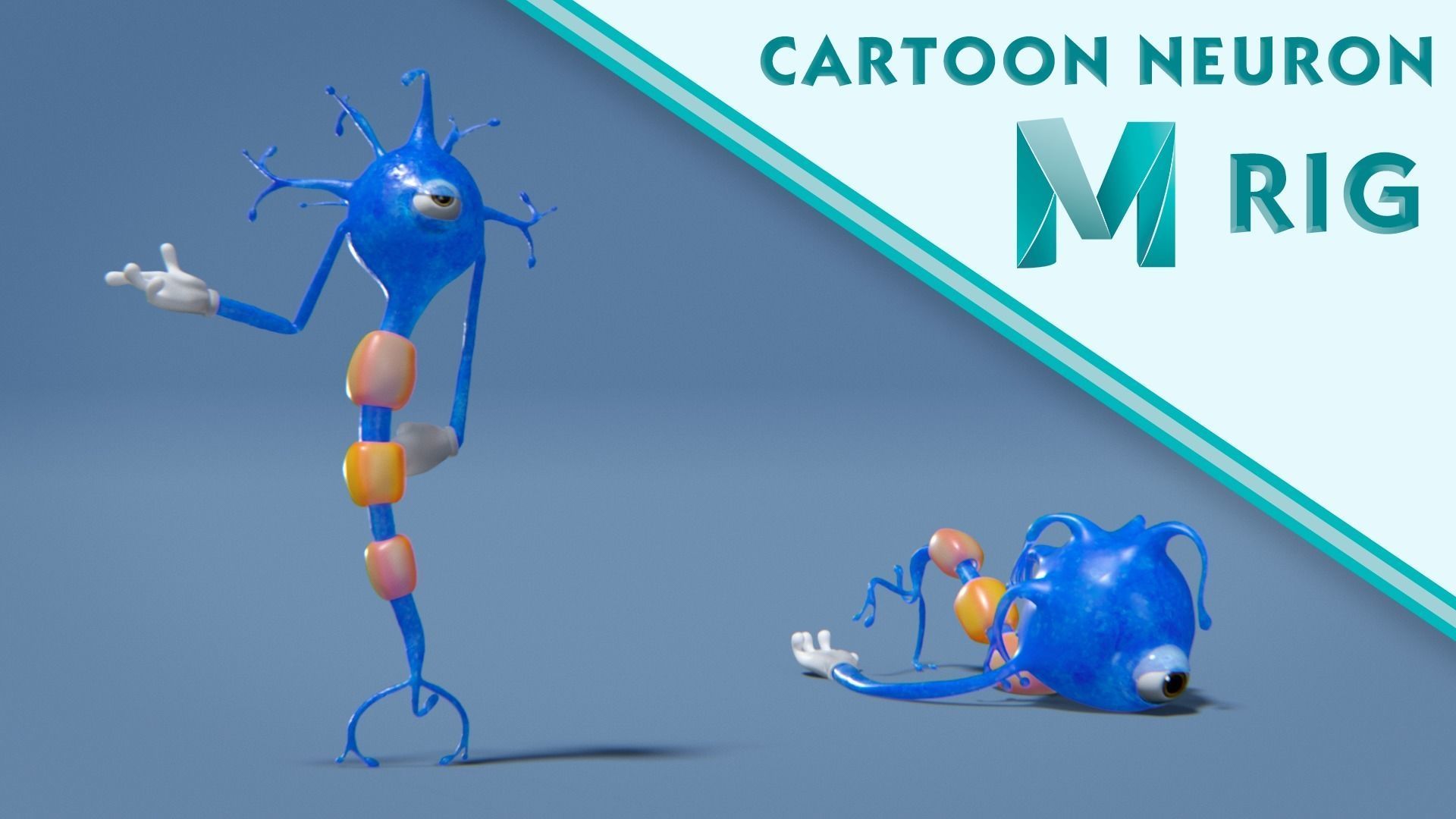 Neuron Cartoon Rig 3D model rigged | CGTrader