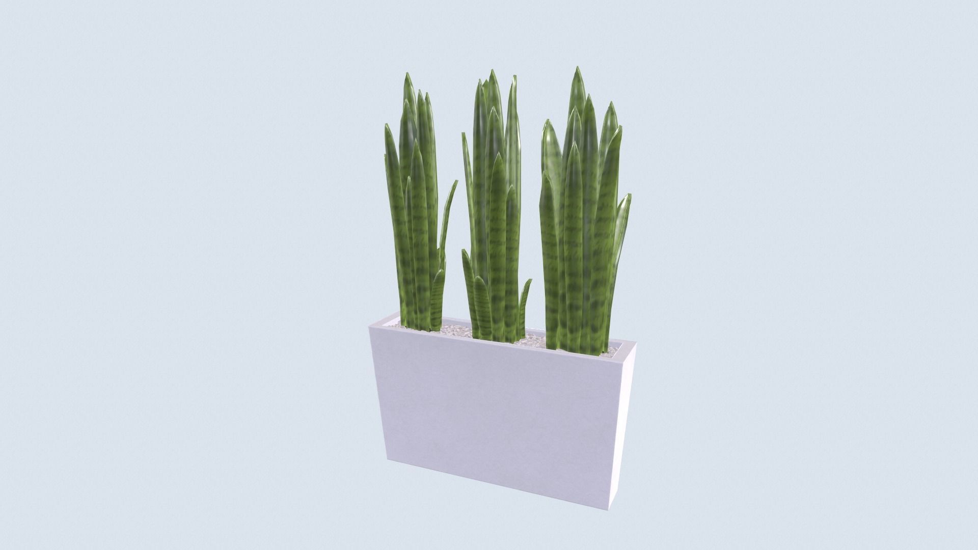 3D model Pike tail plant VR / AR / low-poly | CGTrader