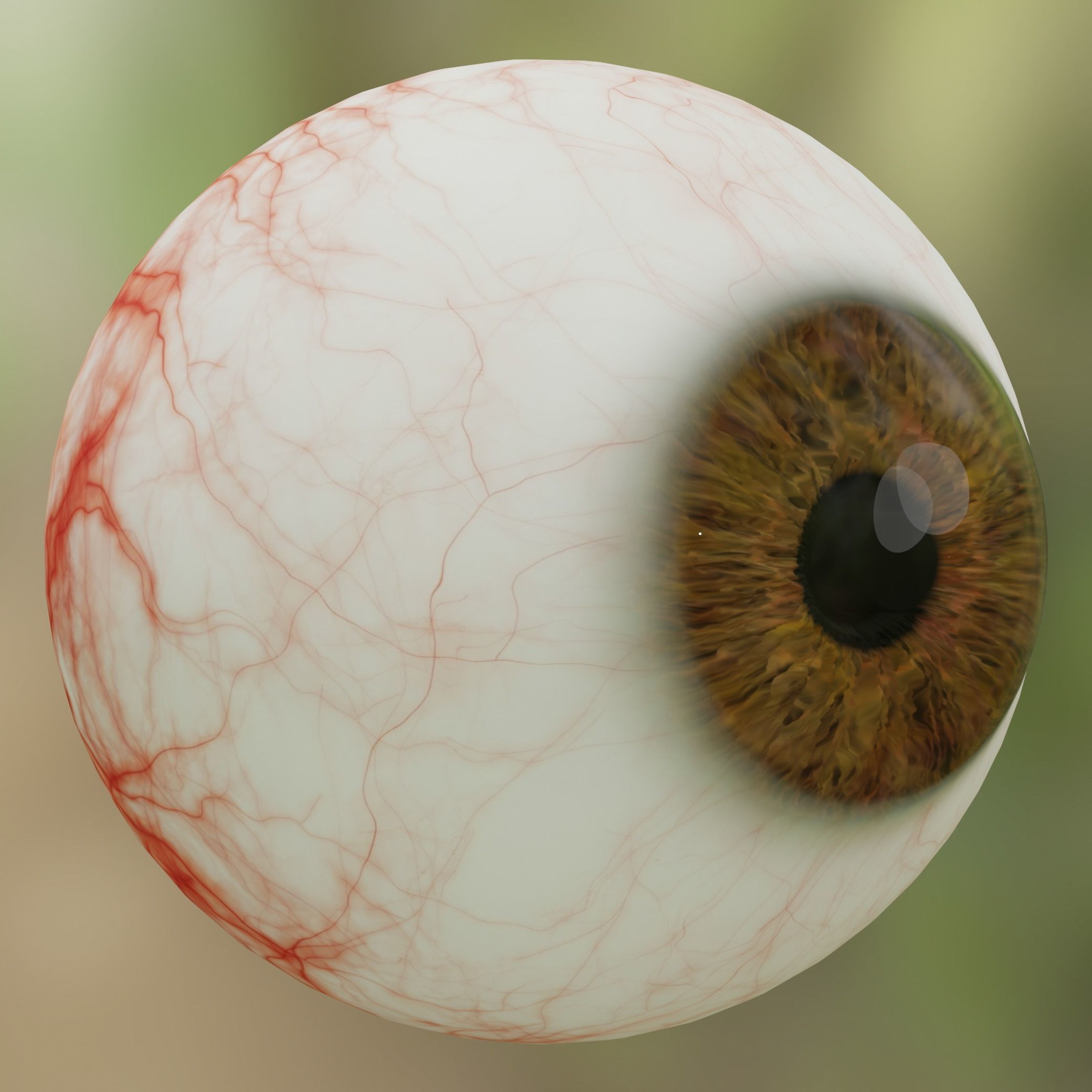 3D model Human eye Photorealistic 3D model VR / AR / low-poly | CGTrader