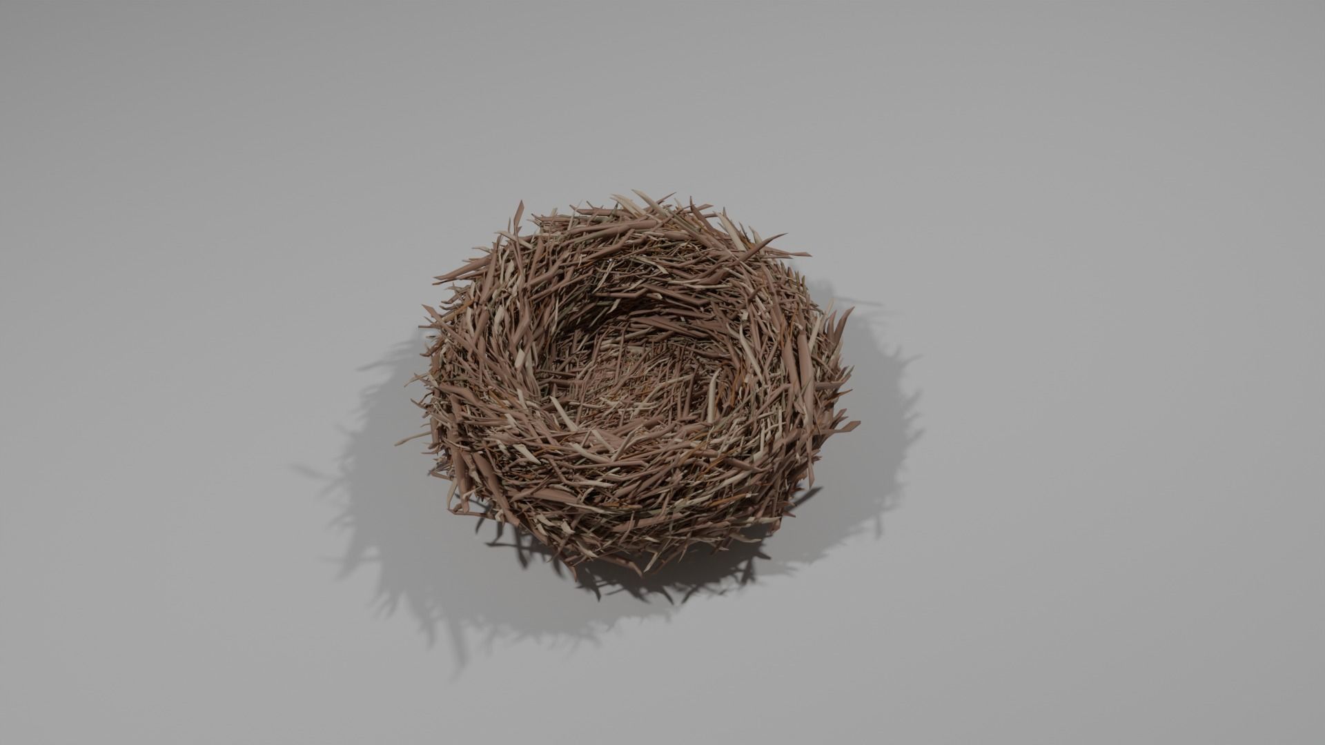 Realistic Bird nest 3D model | CGTrader