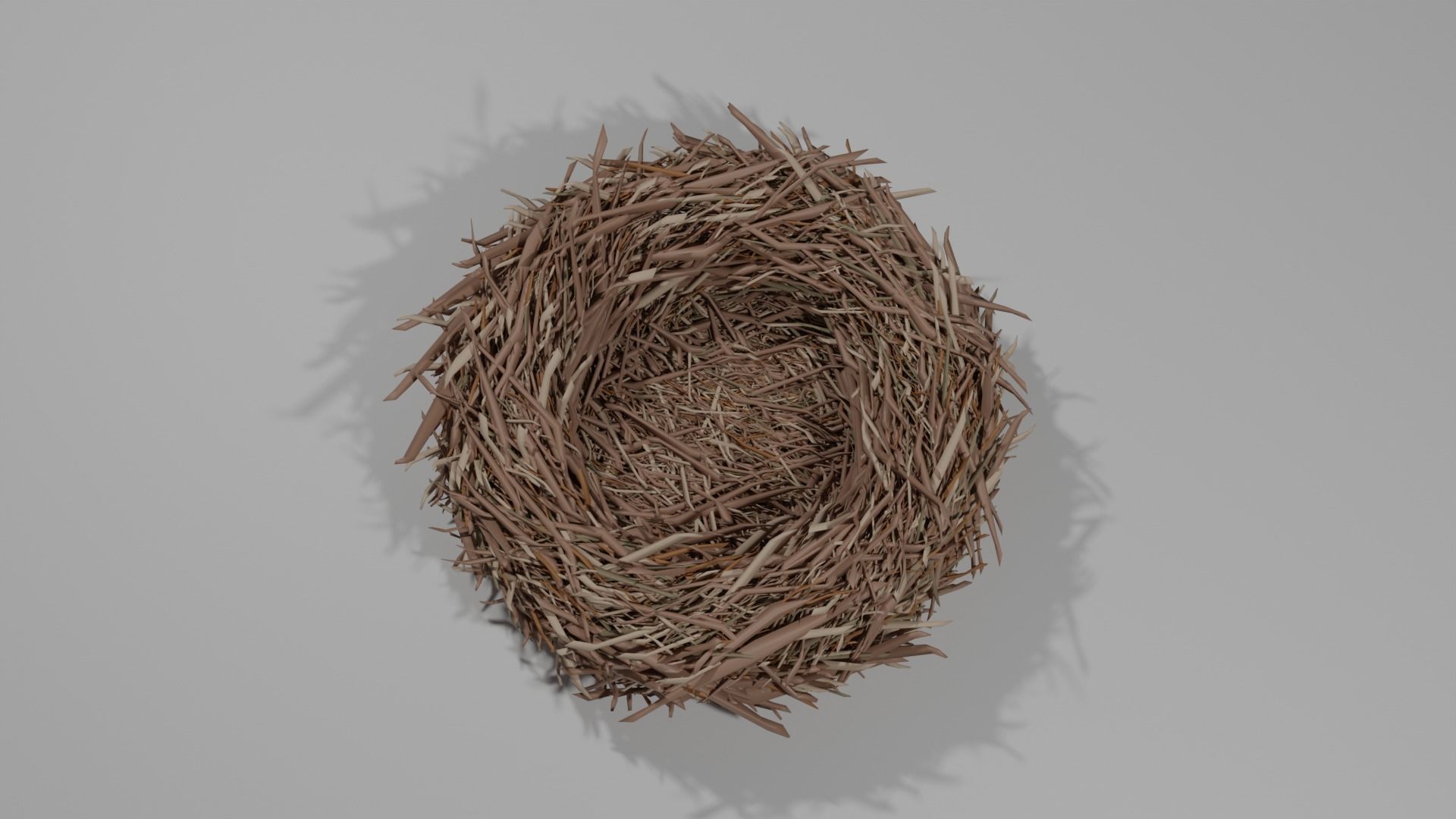 Realistic Bird nest 3D model | CGTrader