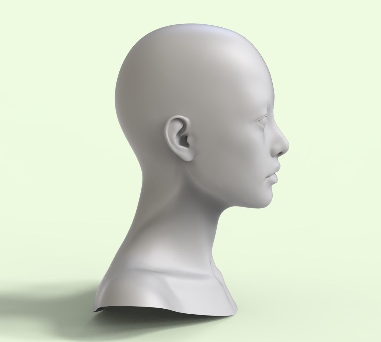 3d Model 5 3d Head Face Eyes Female Character Women Art Portrait Doll 3d Vr Ar Low Poly