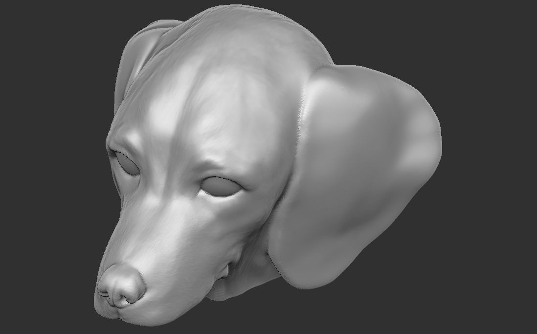 Puppy of Dachshund dog head for 3D printing 3D model 3D printable ...