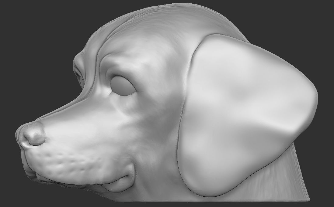 Puppy of Pointer dog head for 3D printing 3D model 3D printable | CGTrader