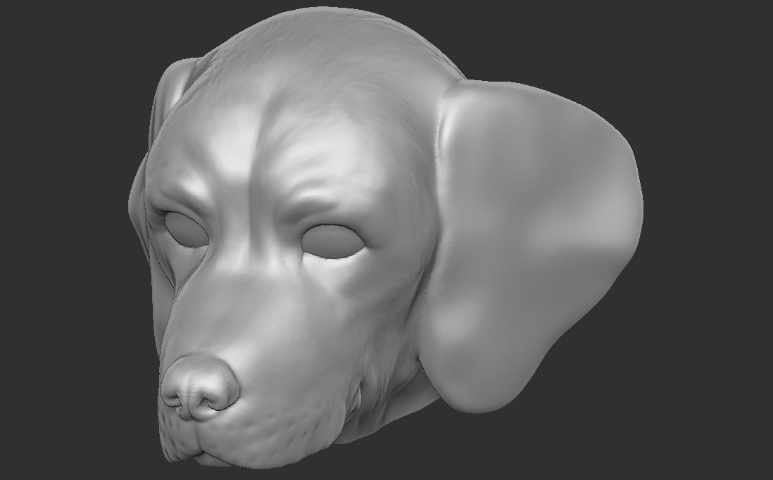 Puppy of Pointer dog head for 3D printing 3D model 3D printable | CGTrader