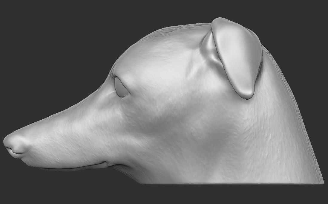 Puppy of Greyhound dog head for 3D printing 3D model 3D printable ...
