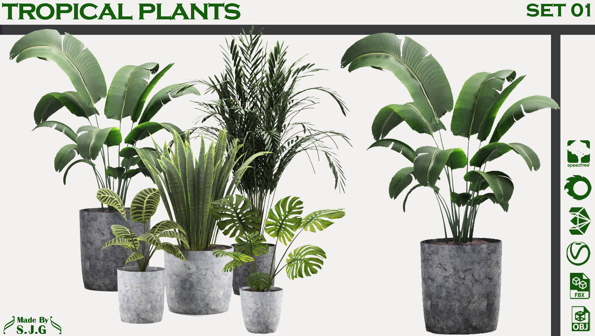 indoor plants collection of tropical plants set 01 3D model | CGTrader