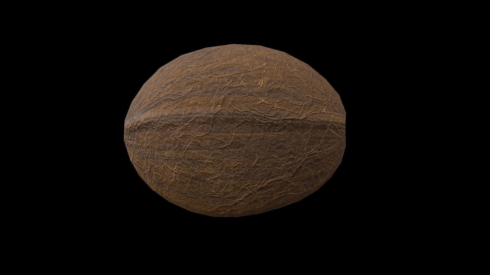 Coconut free VR / AR / low-poly 3D model | CGTrader