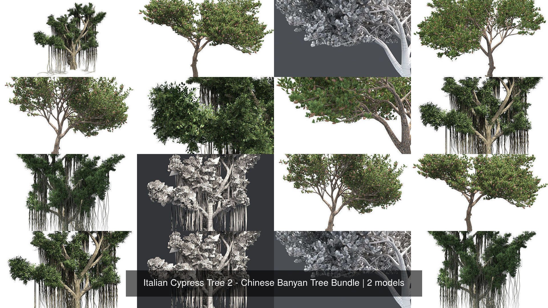 3D Model Collection Italian Cypress Tree 2 - Chinese Banyan Tree Bundle ...